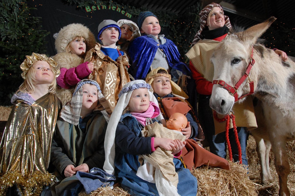 Christmas Nativity Plays at Pennywell! | Pennywell Farm