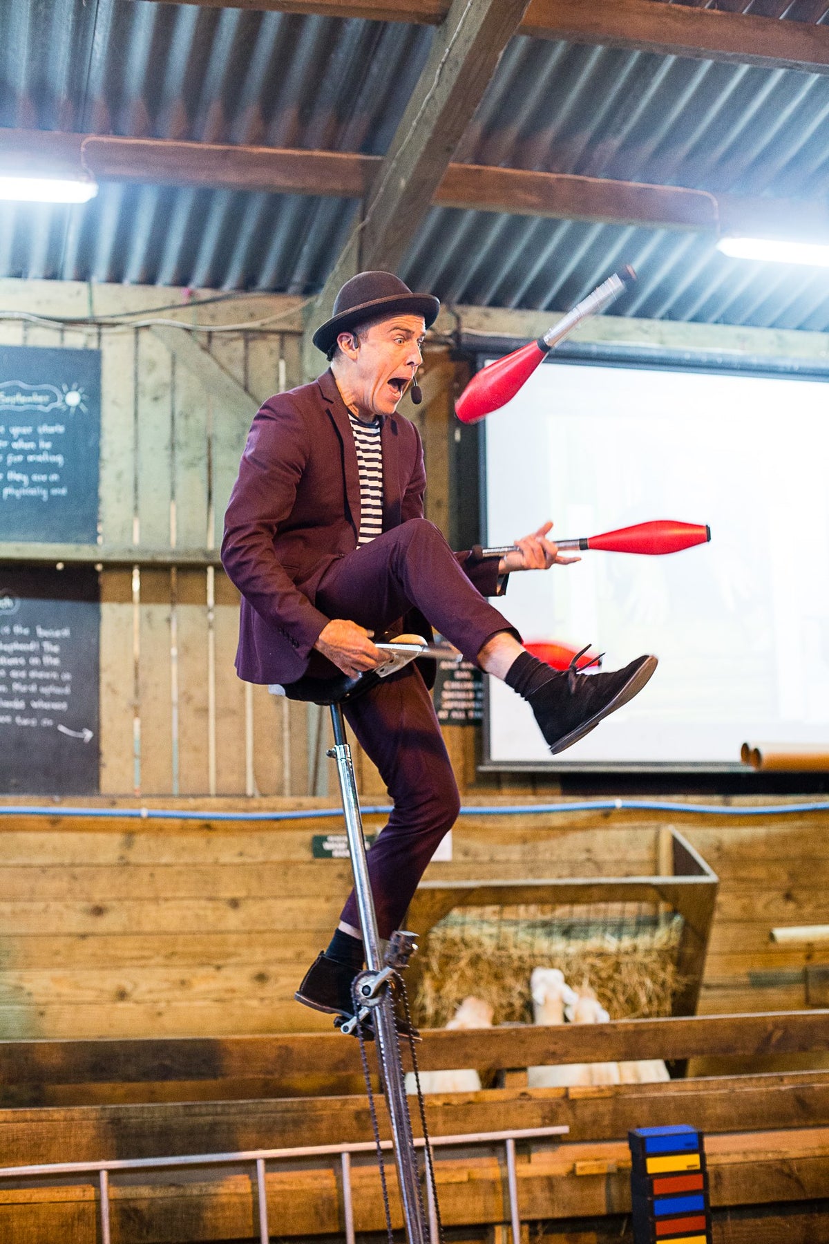 Elfic | Pennywell Farm