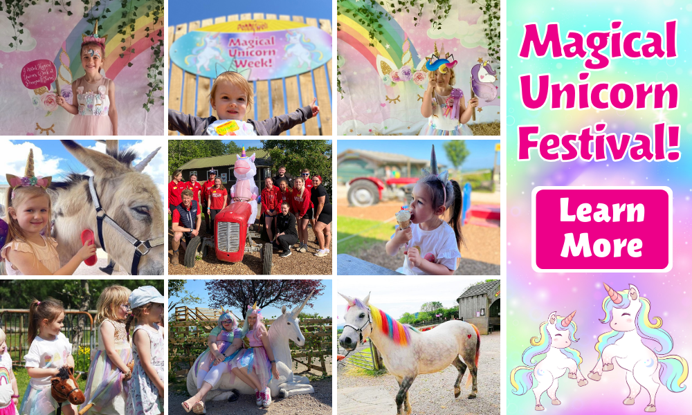 Magical Unicorn Festival! | Pennywell Farm