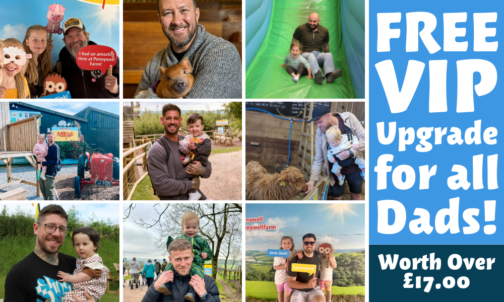 Father's Day at Pennywell Farm: VIP Offer for Dads! | Pennywell Farm