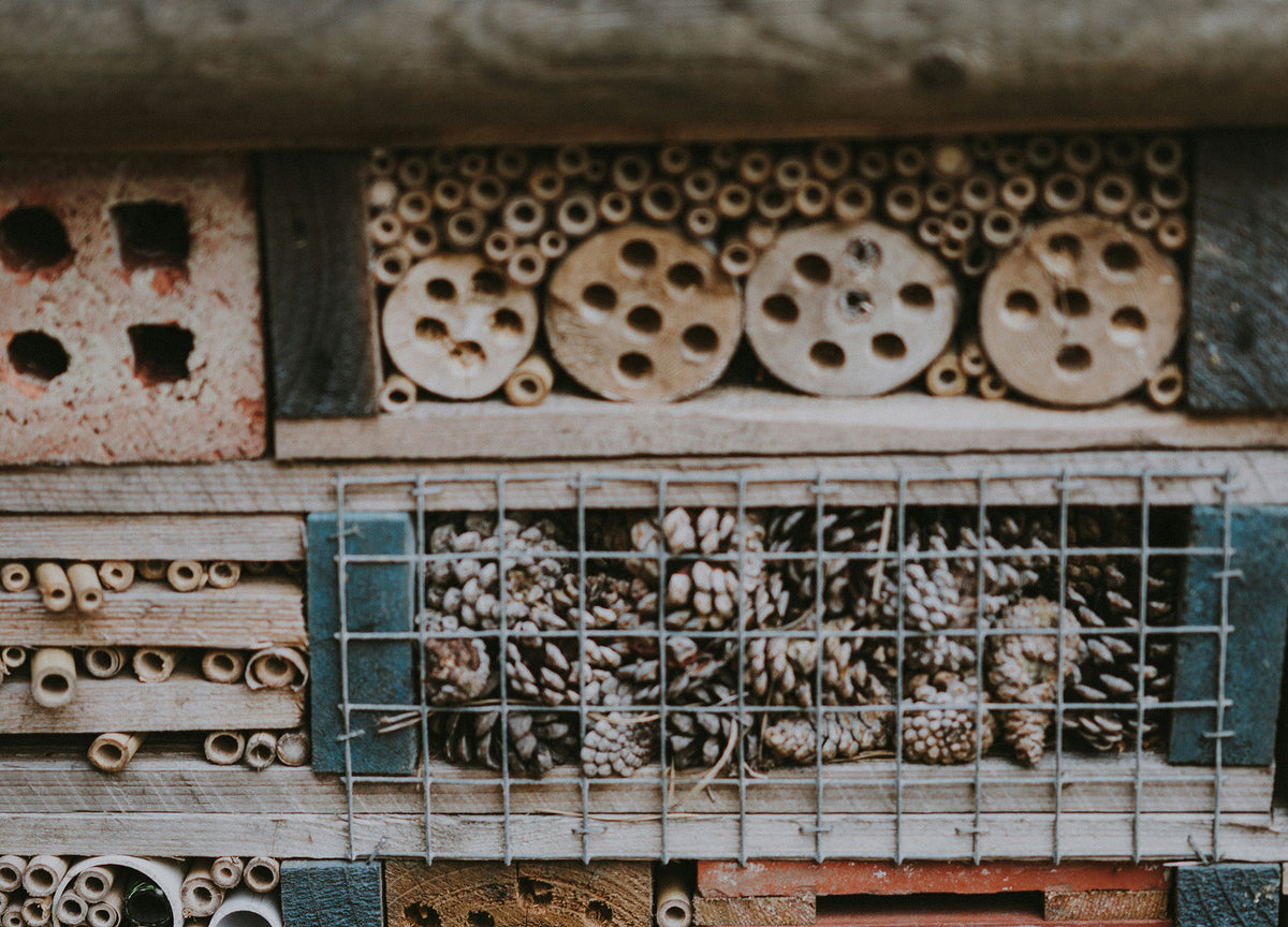 Build Your Own Bug Hotel: Fun & Sustainable Garden Activities for Kids ...